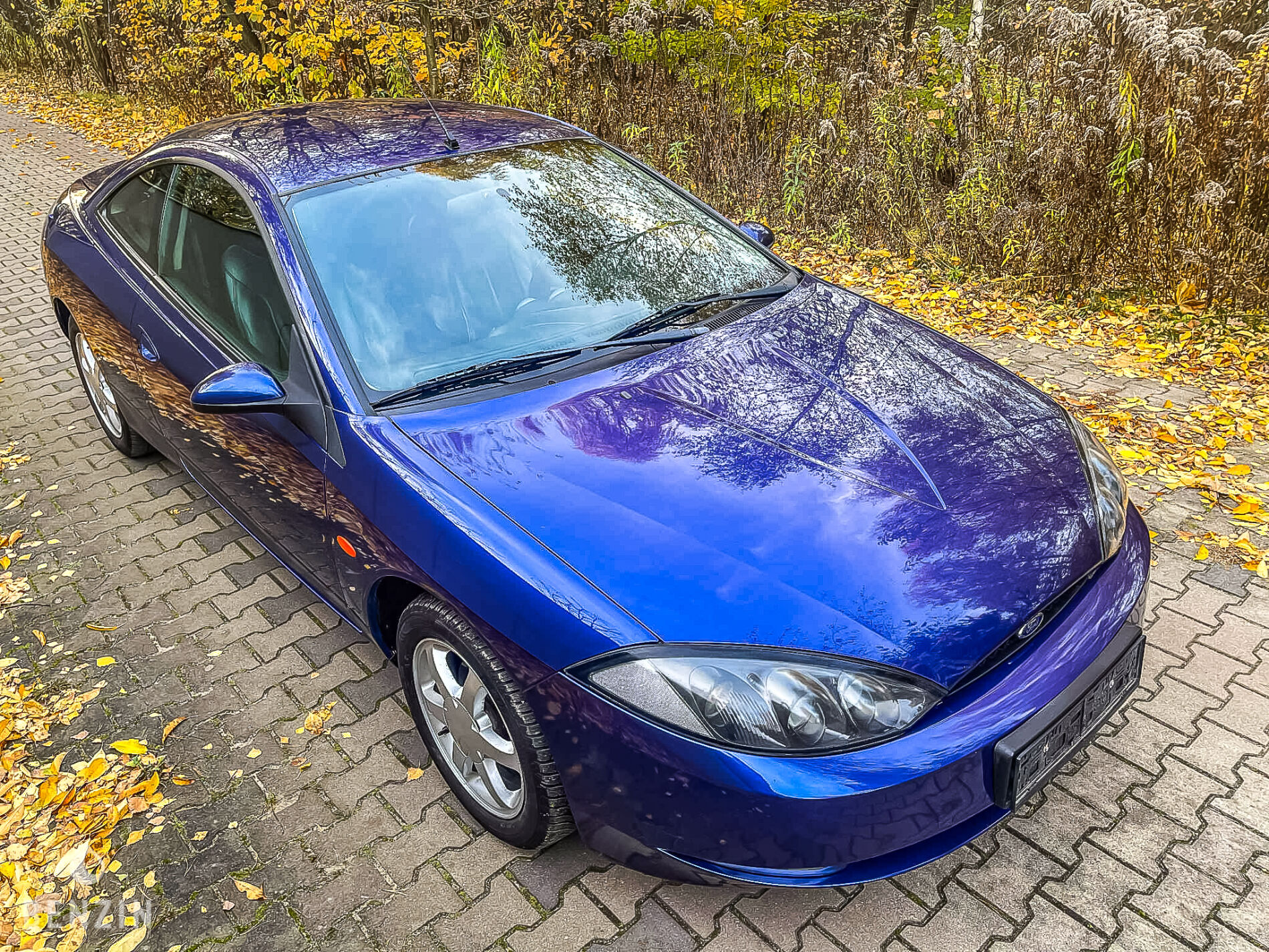 Verwunderlich Ford Cougar V6 Ebenbild